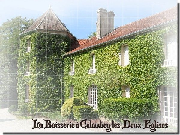 La Boisserie à Colombey-les-Deux-Eglises